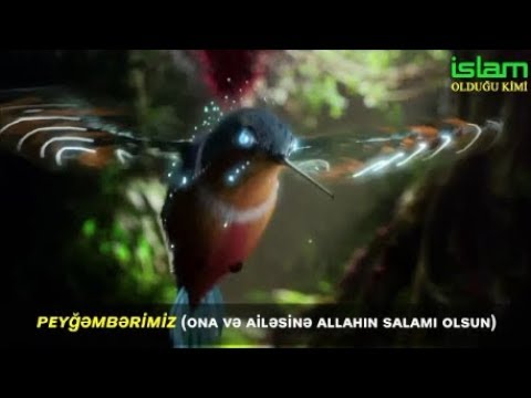 CƏNNƏT ƏHLİ CƏNNƏTƏ GİRDİYİ ZAMAN, BİR CARÇI BELƏ SƏSLƏNƏCƏK (FULL HD)