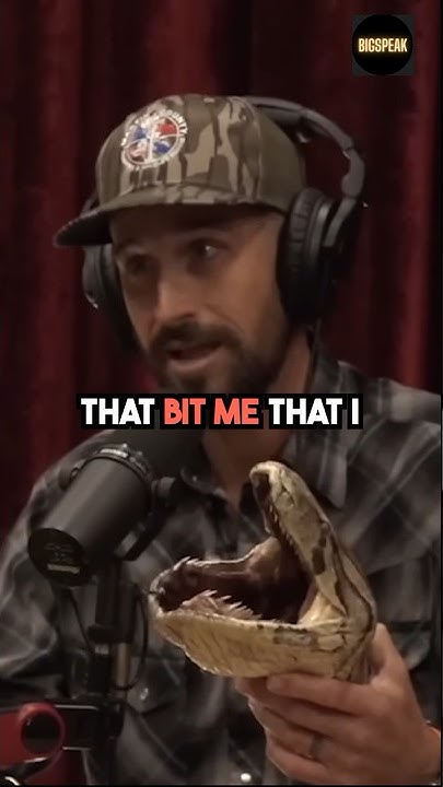 Joe Rogan Guest shows PYTHON Head that almost KILLED Him...🐍😱 - YouTube