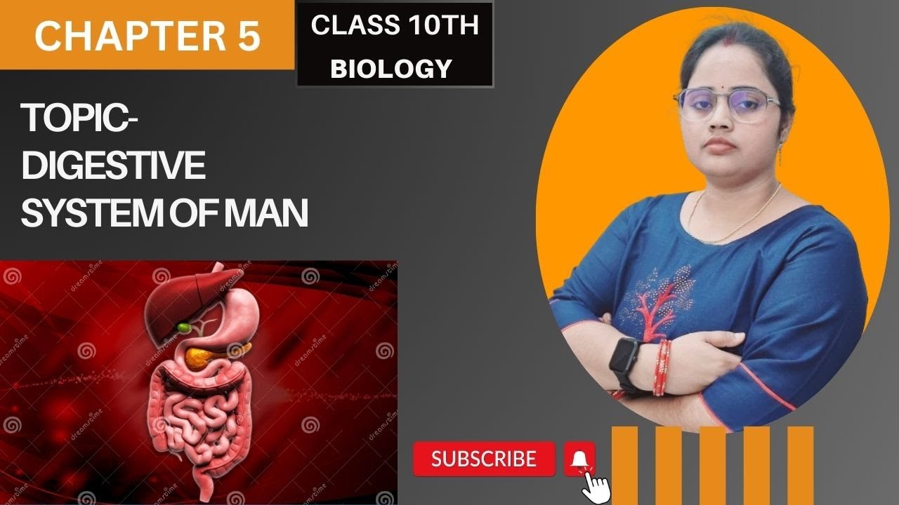 Digestive system of man - Renu's Science Journey - YouTube