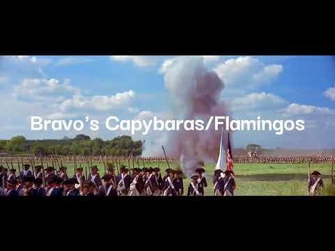 Alpha VS Bravo (The Patriot Version) - YouTube