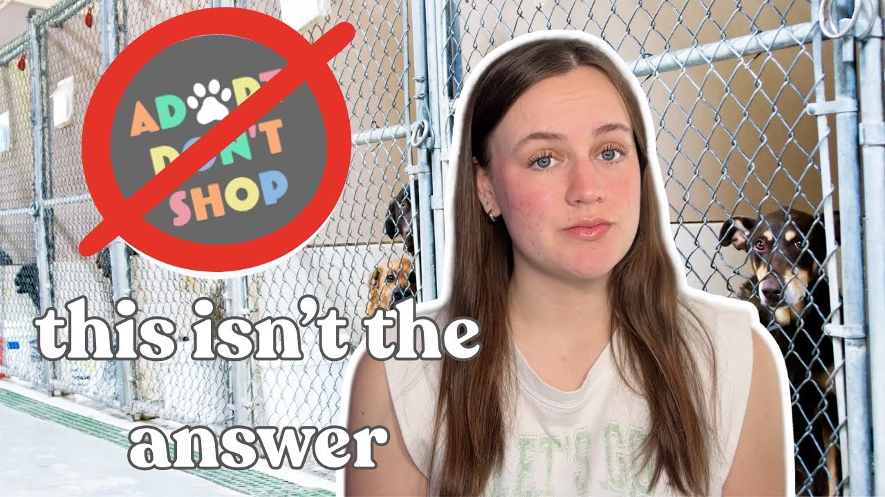"Adopt don't Shop" isn't the Answer, But it Can Be Harmful - YouTube
