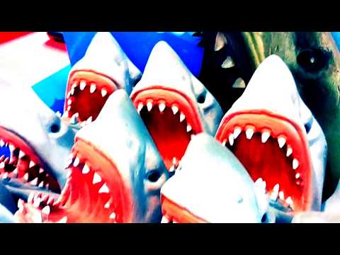 New Viral Shark Puppet