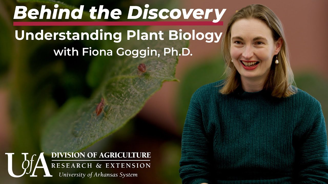 Fiona Goggin - Understanding Plant Biology | Behind the Discovery - YouTube