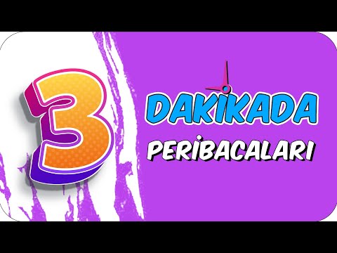 3dk'da PERİBACALARI