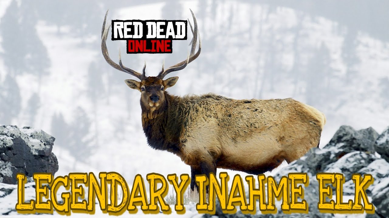 Tracking Legendary Inahme Elk | Red Dead Online [4K] - YouTube