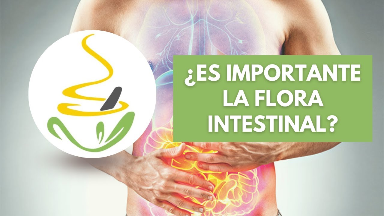 Consejos Para Tener Una FLORA INTESTINAL SANA - YouTube