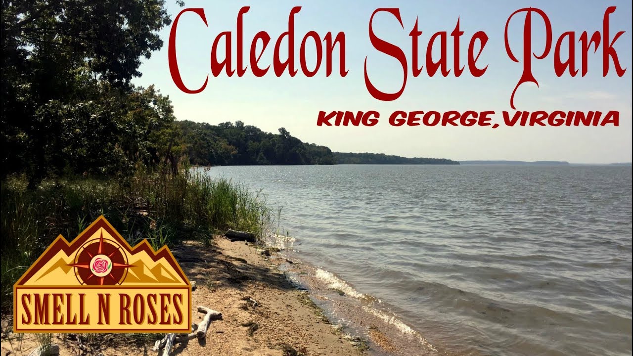 Hiking Caledon State Park, Virginia - YouTube