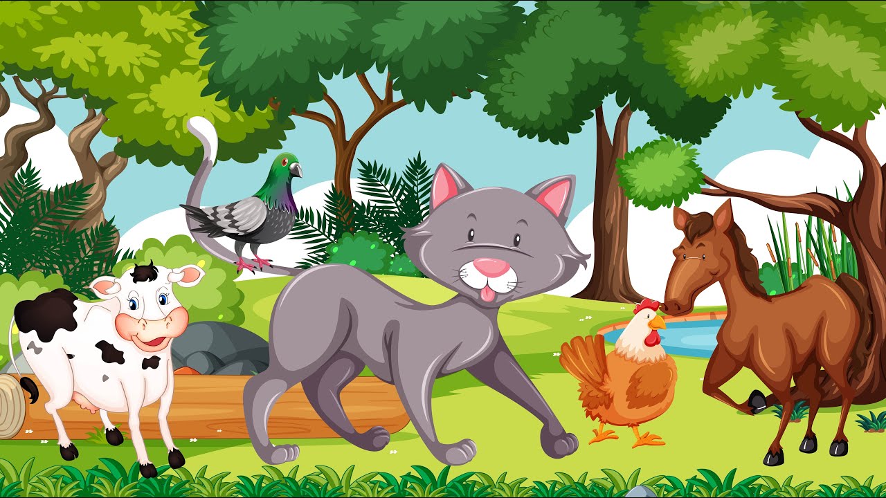 A Menagerie of Animals: A Video Tour of Wild and Domestic Creatures ...