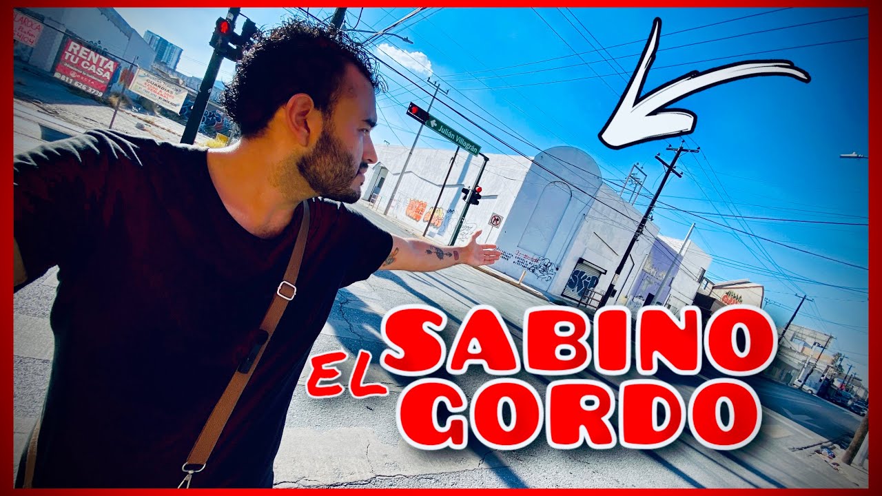 El Sabino Gordo en Monterrey Así luce actualmente - YouTube