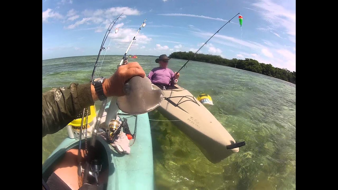 Florida Keys Kayak Fishing for Sharks. - YouTube