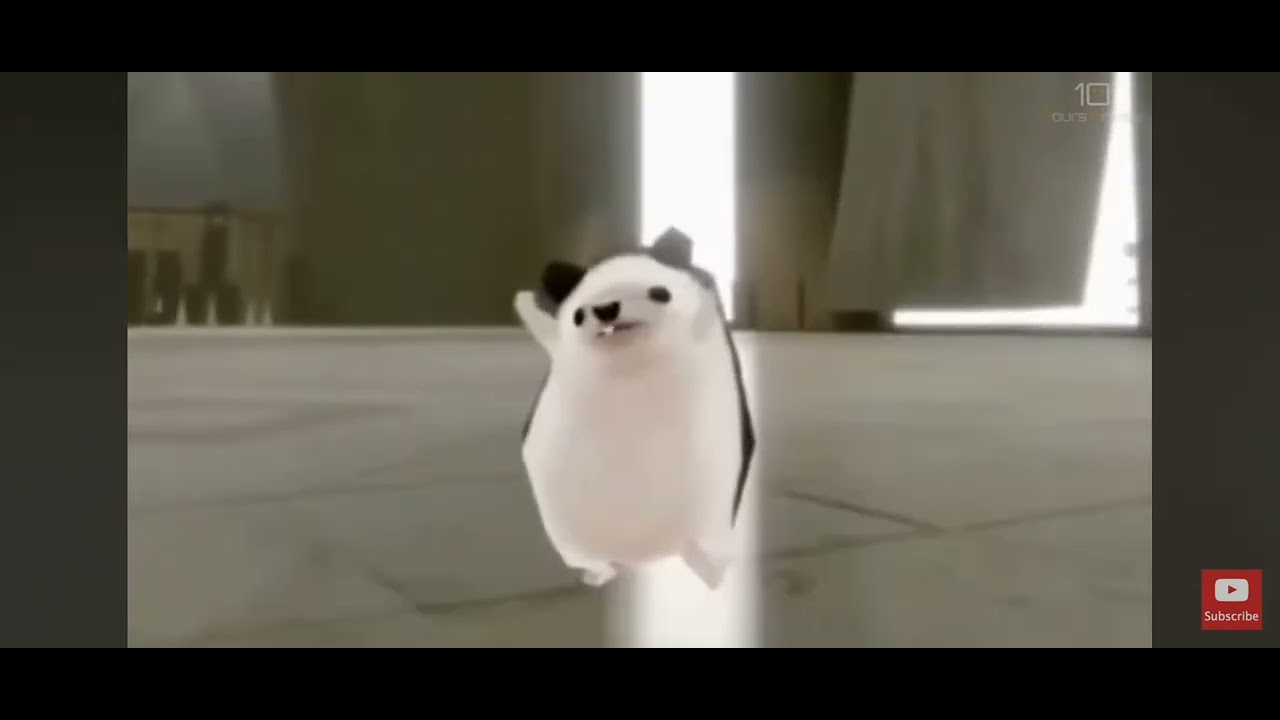 hedgehog dancing with hashbrown - YouTube