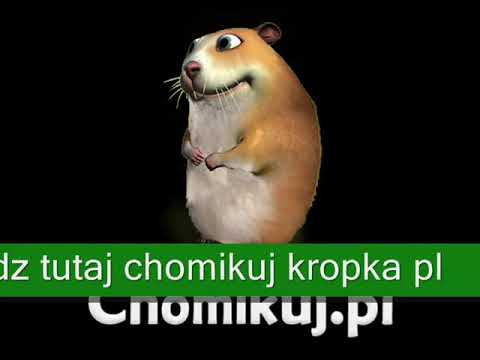 Oficjalna reklama dla chomikuj.pl.