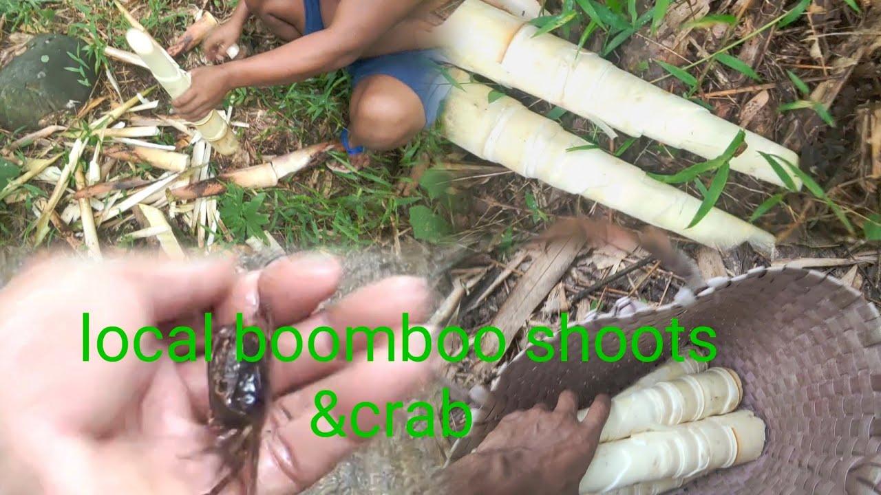 August 6, 2024 local boomboo shoots and crab 🦀🦀🦀 #travel #tredional ...