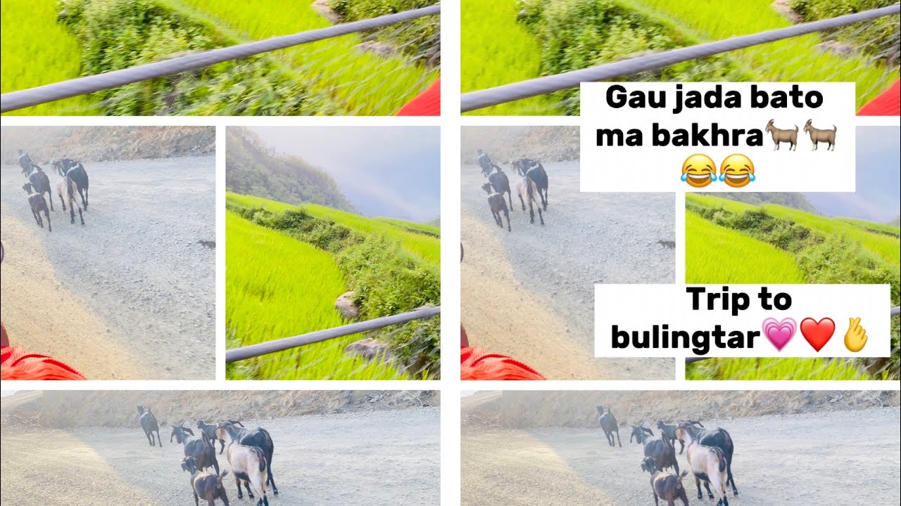 Trip to bulingtar ️💗 - YouTube