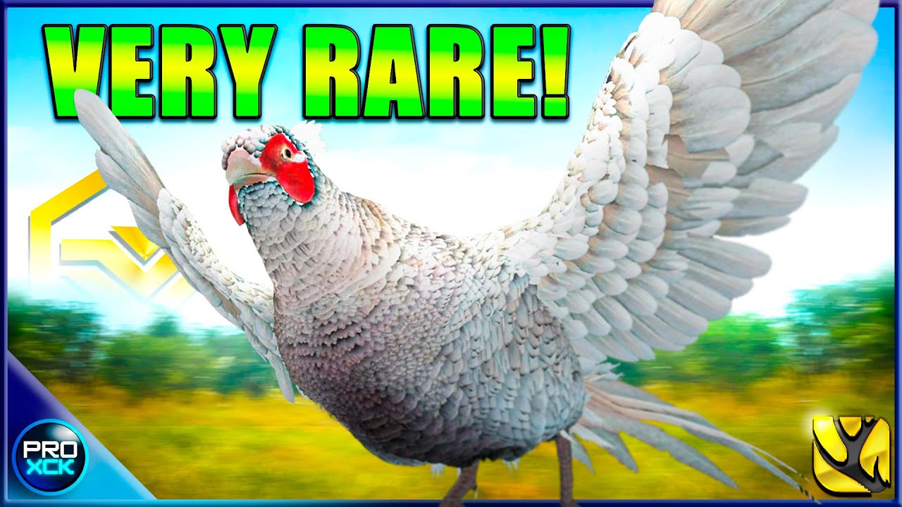 The RAREST Pheasant I've Ever Seen! - theHunter: Call of the Wild - YouTube