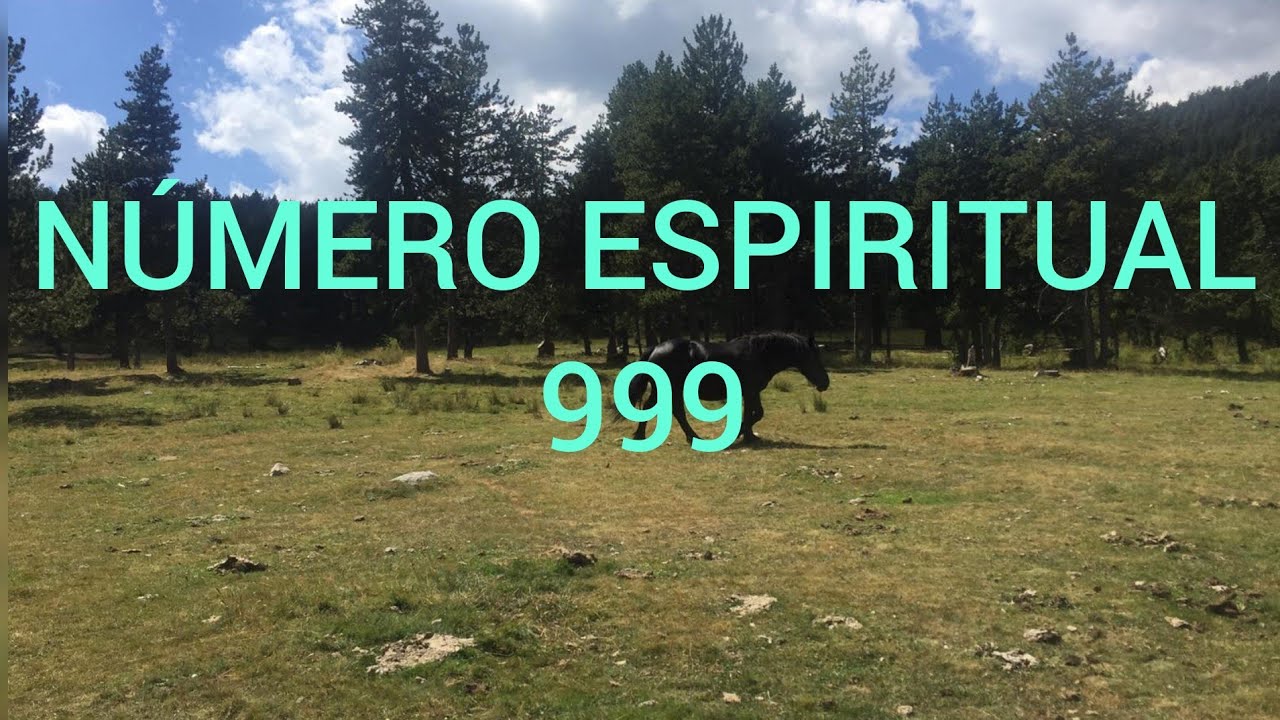 Significado del 999 - ¿Qué Significa el número 999 ? - Significado de ...