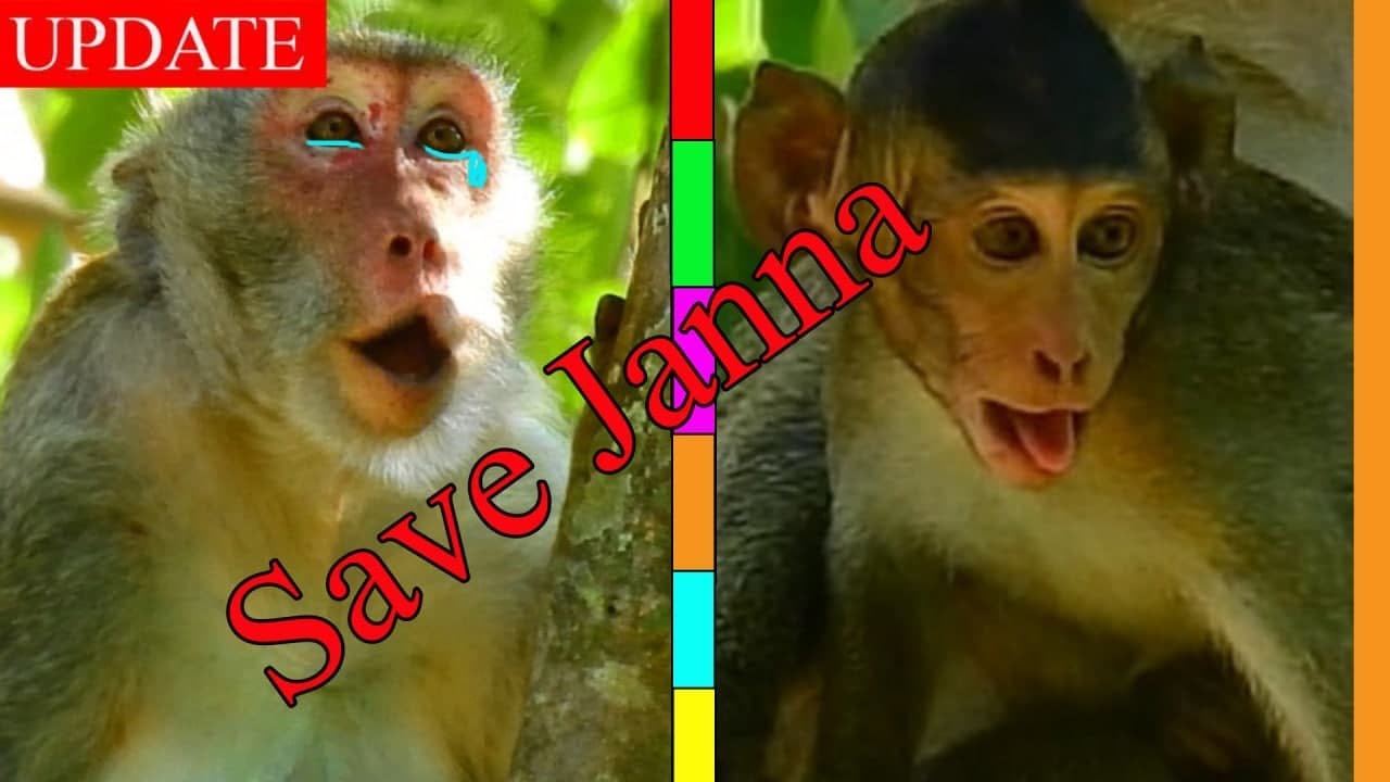 Tear Whole Day ... Jane Cry for Janna - YouTube