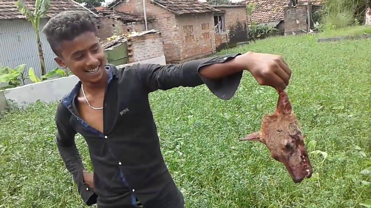 Proces fox meat in village - YouTube