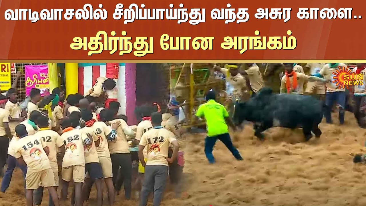 Palamedu Jallikattu 2025 | Madurai | Pongal Celebration | Girl Bull ...