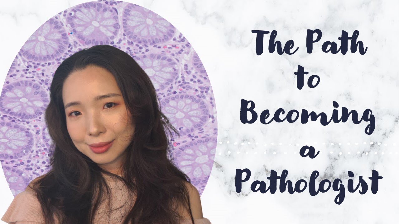 The Path to Becoming a Pathologist | From Undergrad to First Job - YouTube