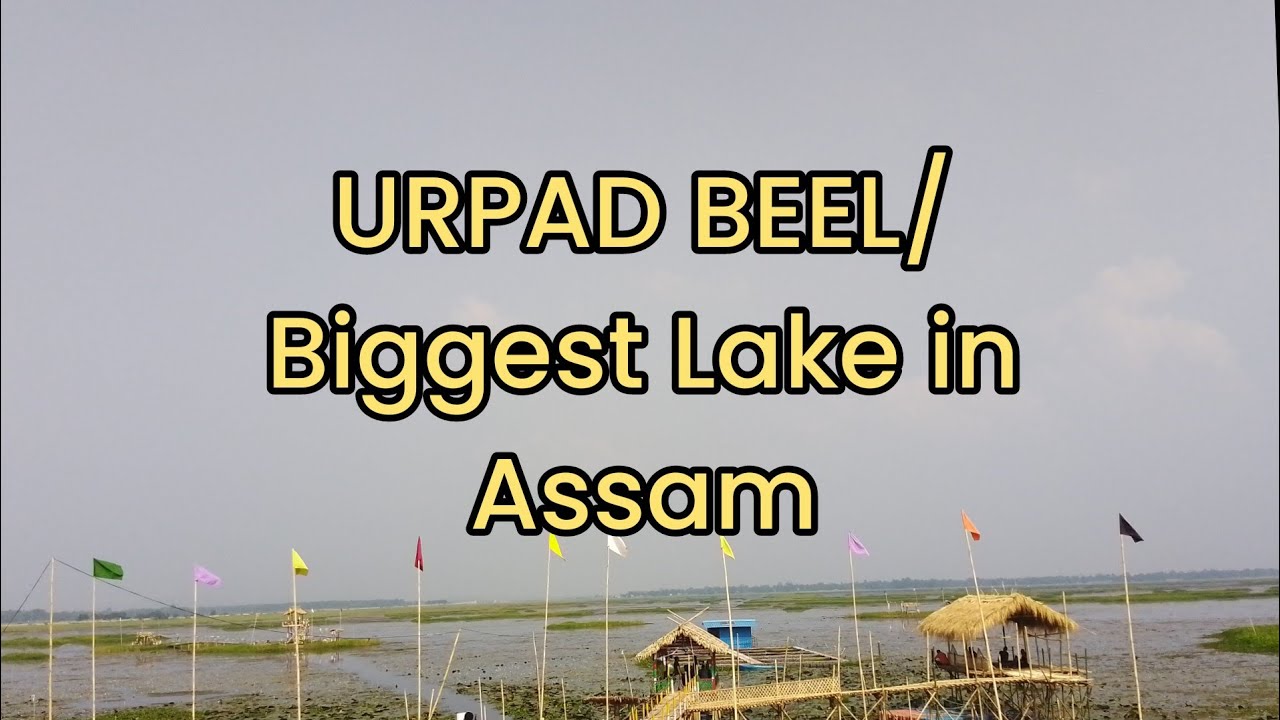 Chamaguri URPAD BEEL . - YouTube