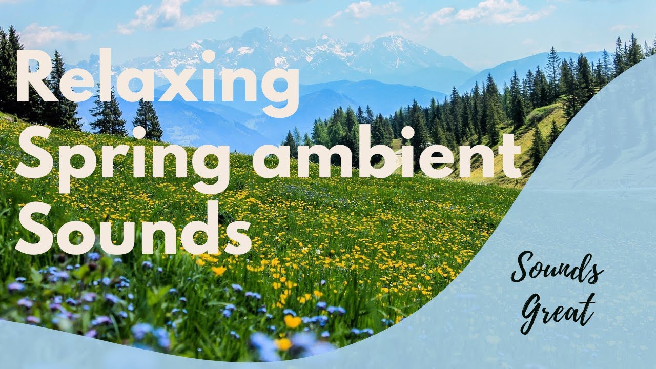 SPRING AMBIENCE WITH BEAUTIFUL FLOWERS - YouTube