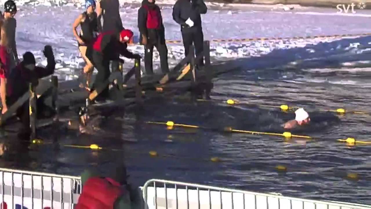Scandinavian Championship in Winter Swimming 2015, Skellefteå ...