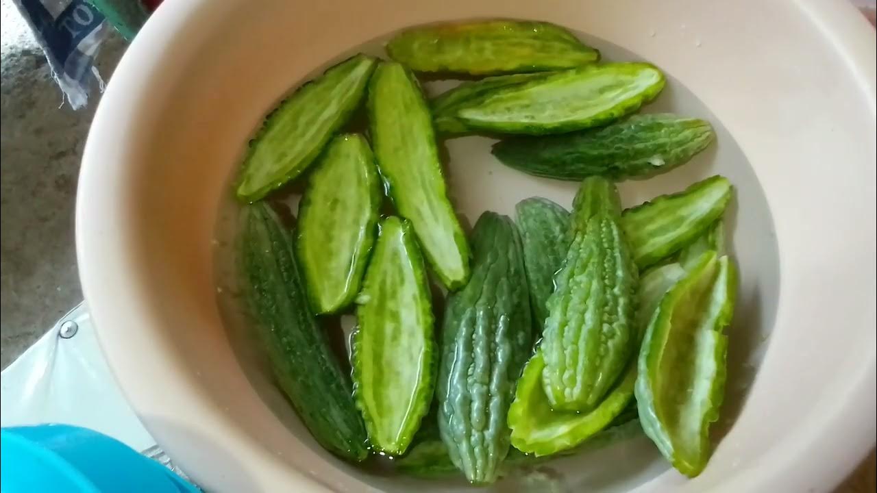 fresh ampalaya sa Aming bakuran ! |marlavlogs - YouTube