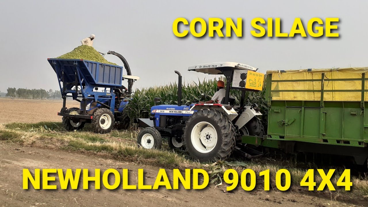 MAKING OF CORN SILAGE part-1 | NEWHOLLAND SILAGE MACHINE - YouTube