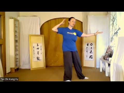 Chen Style Tai Chi Lao Jia Yi Lu 13/09/2023 - YouTube