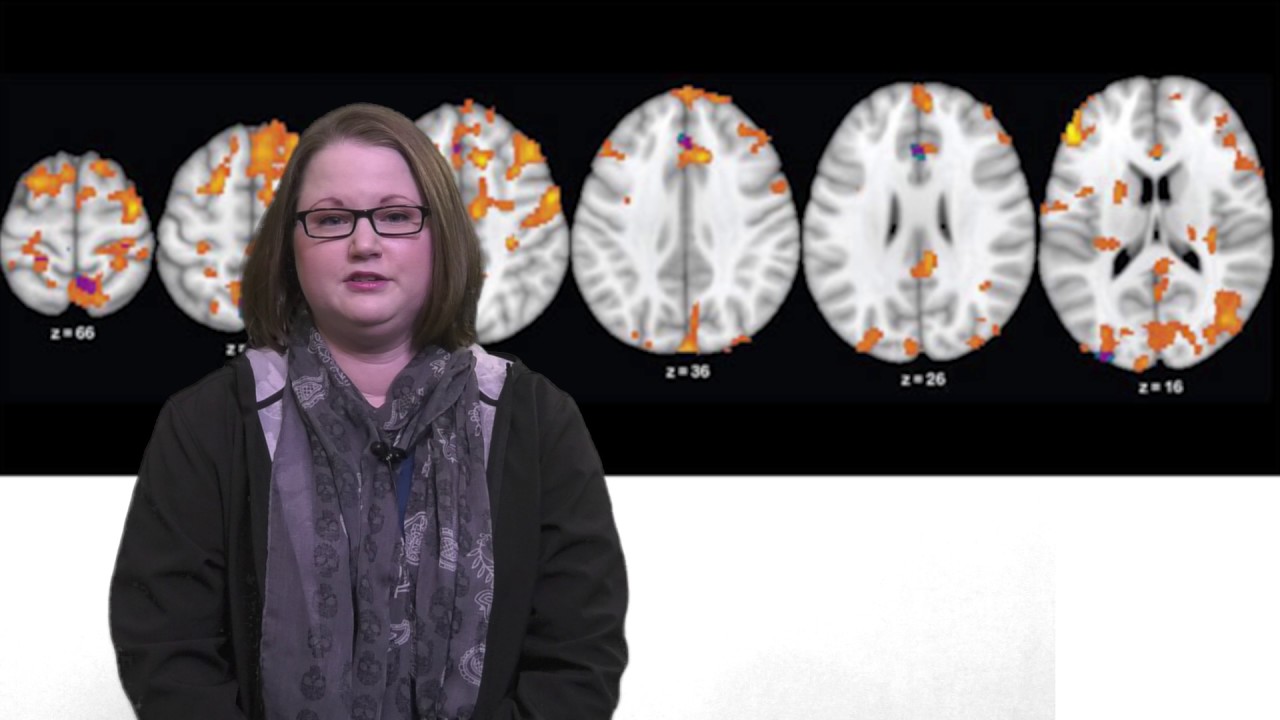 Anthropology: The Science of Being Human - YouTube