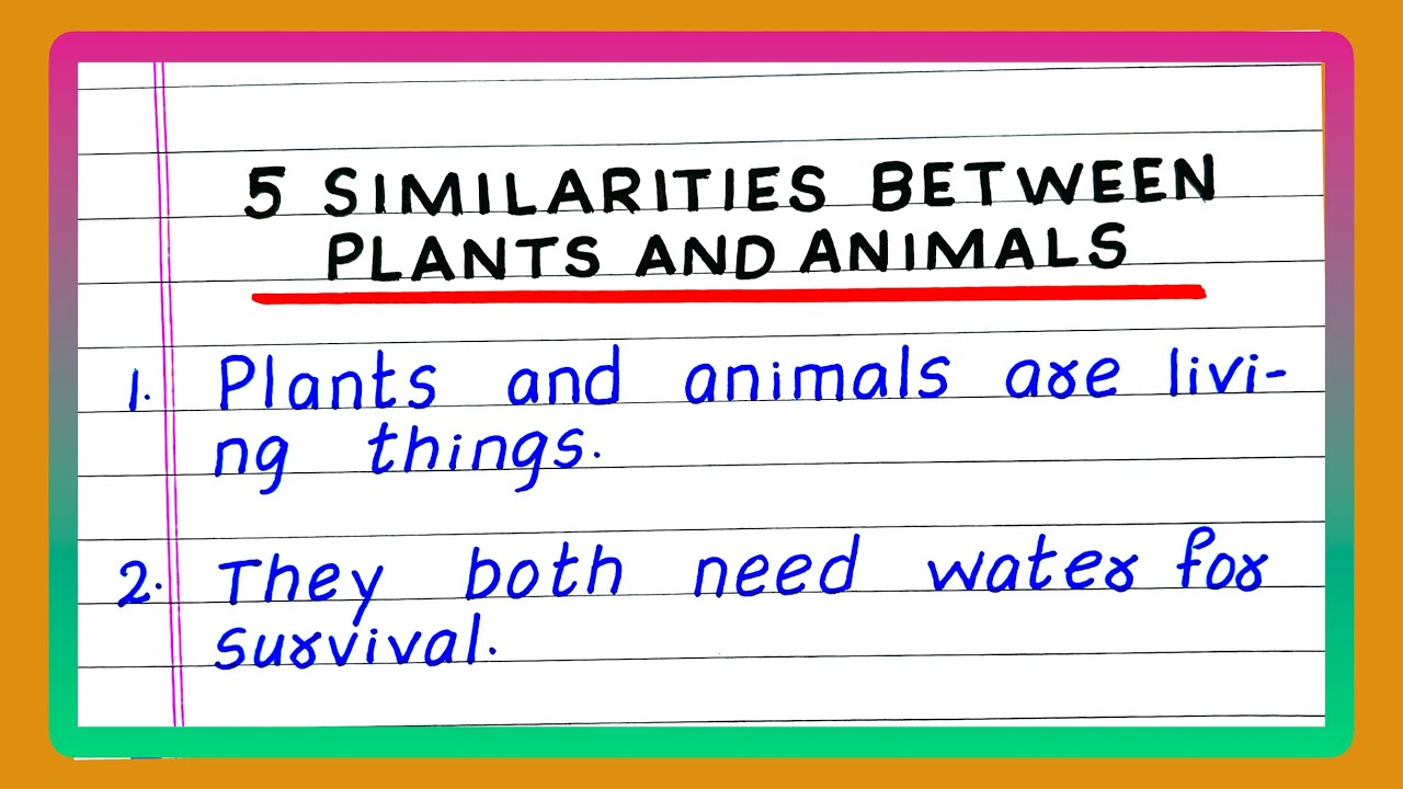 Similarities between Plants and Animals - YouTube