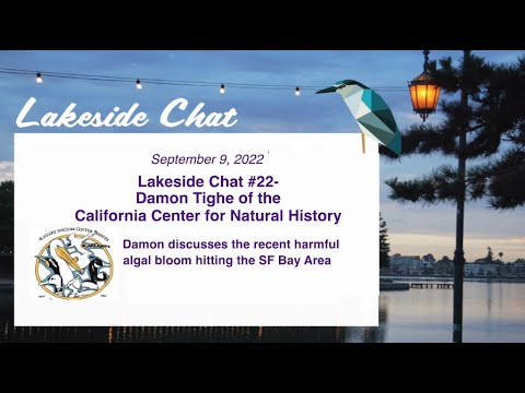 Lakeside Chat #22 Damon Tighe and Algal Bloom in Lake Merritt - YouTube