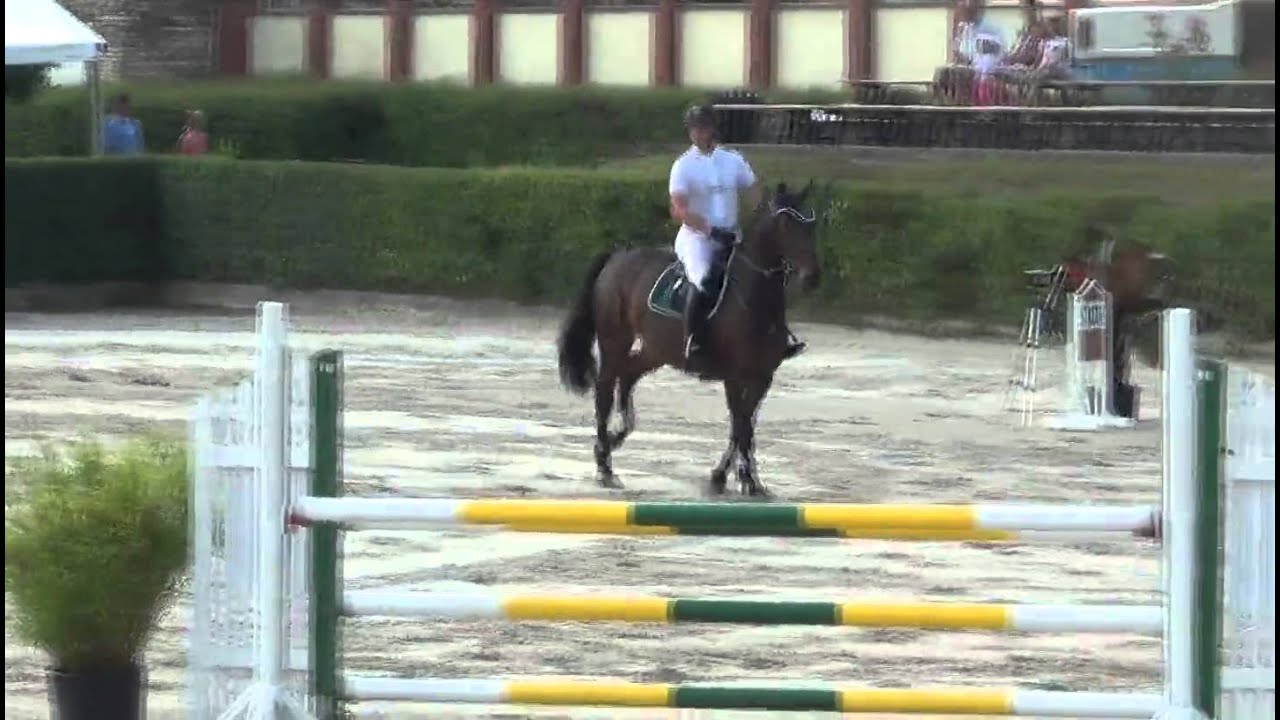 Sportpferde Matthias Keil - Chocolate Kiss - YouTube