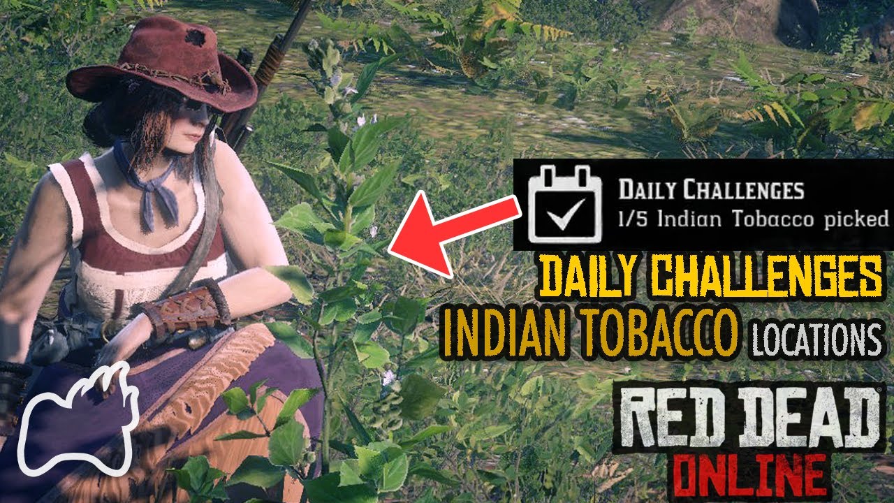 RED DEAD ONLINE Where to Find Indian Tobacco? LOCATIONS + Wild Carrot ...