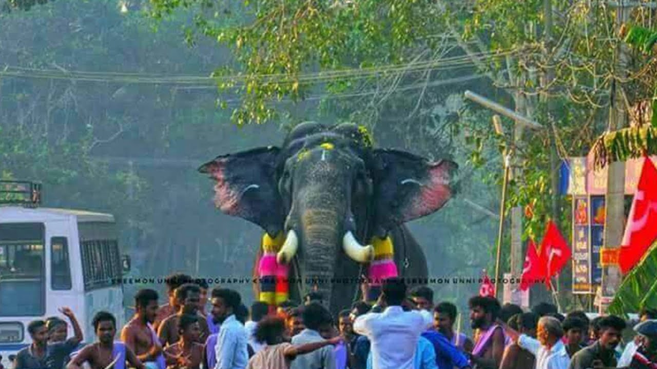 pambadi rajan (kabali version) - YouTube