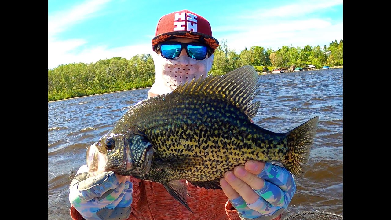 Drop Shot Fishing For Black Crappie In Manitoba - YouTube