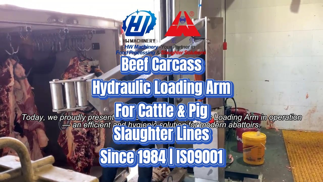 Beef Carcass Hydraulic Loading Arm in Operation | Cattle Slaughter ...