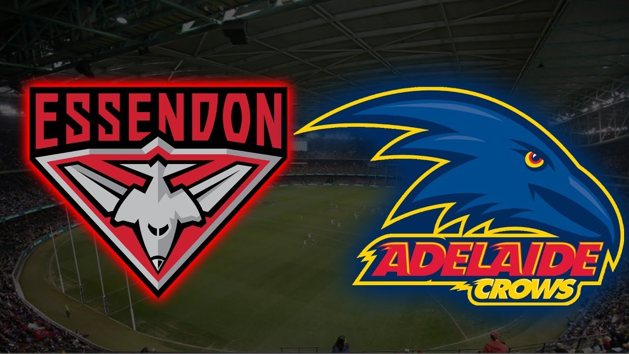 ESSENDON VS ADELAIDE AFL ROUND 17 LIVE REACTION - YouTube