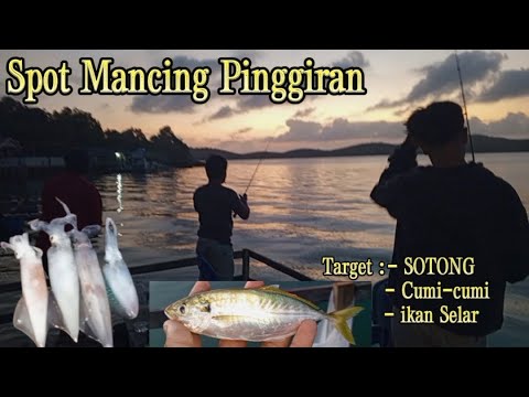Spot Mancing CUMI,SOTONG DAN IKAN SELAR di Batam || PELANTAR PIAYU LAUT ...