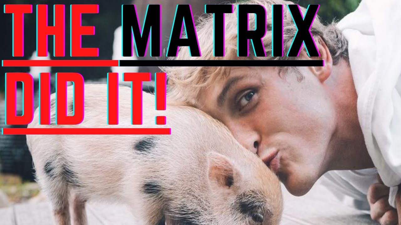 Logan Paul ABANDONED HIS PIG... And Blames THE MATRIX - YouTube