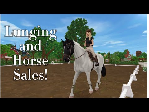 Lunging and Belgian Warmblood Review | Star Stable Update - YouTube