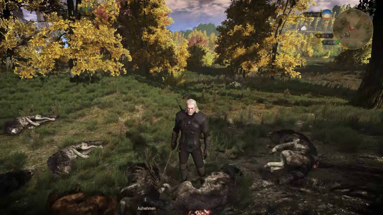 The Witcher 3: Sarrasin Grange - "Seven Cats" Inn (pc, gameplay) - YouTube