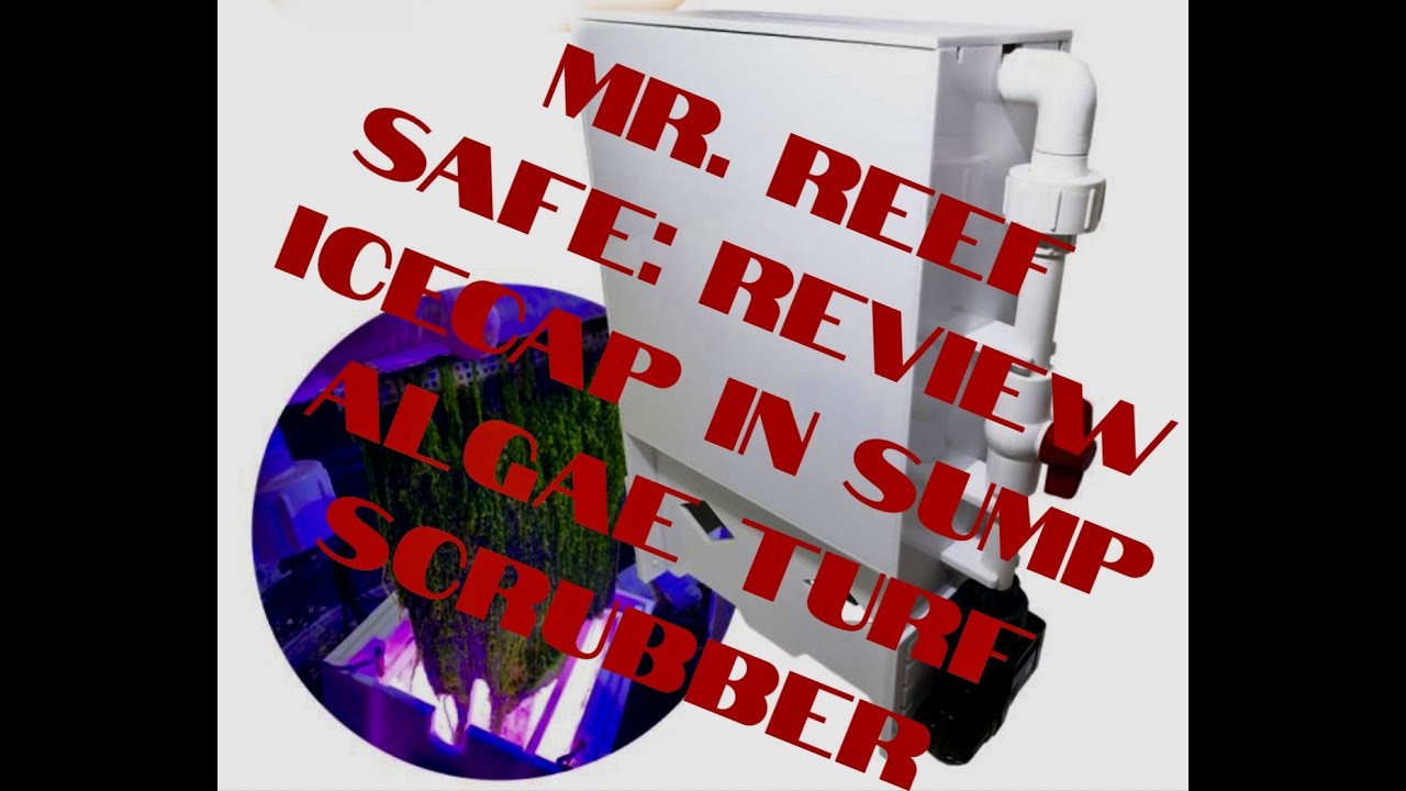 Mr. Reef Safe: Icecap Algae Turf Scrubber review - YouTube