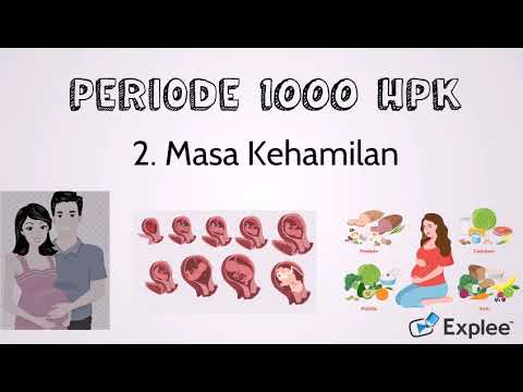 1000 Hari Pertama Kehidupan (1000 HPK) - YouTube