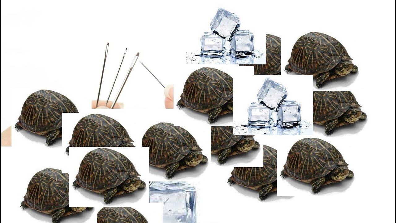 HFTF: jotaro vs ice, threading the needle - YouTube