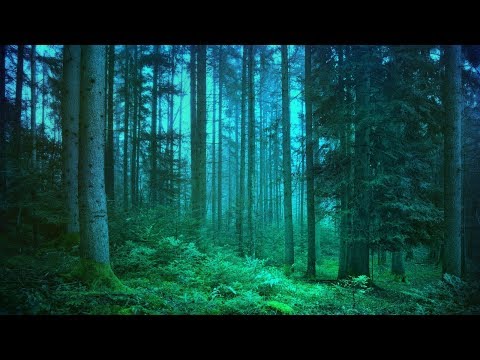 Beautiful Fantasy Music - Elf Tribes  | Enchanting, Magical, Celtic
