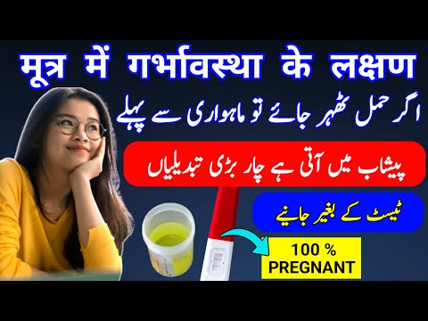 4 Changes in Urine After Getting Pregnant |मूत्र में गर्भावस्था के लक्षण |Week 1 Pregnancy Symptoms