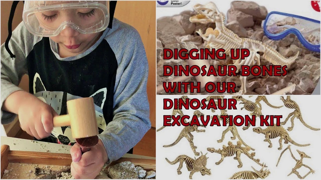 Dinosaur Toys - Digging Up Surprise Dinosaur Bones Playtime - YouTube