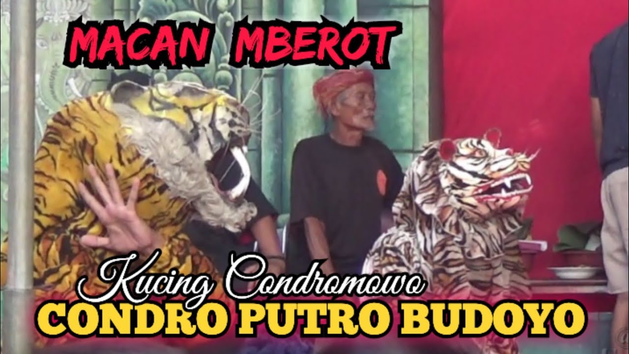 Tari Kucing Condromowo & Macan Mberot CONDRO PUTRO BUDOYO Tulungagung ...